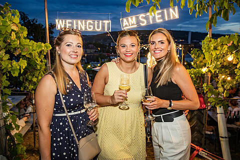 Die stimmungsvollsten Fotos von Wein am Stein 2023 | mainDing